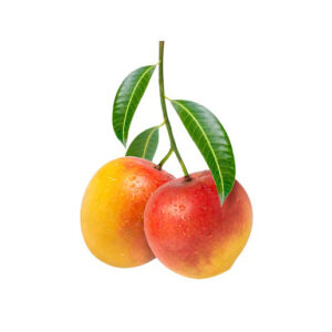 Mango Collection – South Eden Nursery