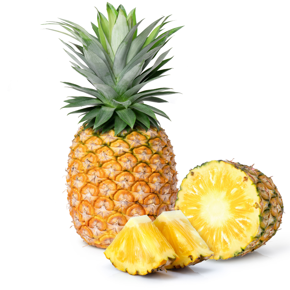 Elite Gold Pineapple – South Eden Nursery