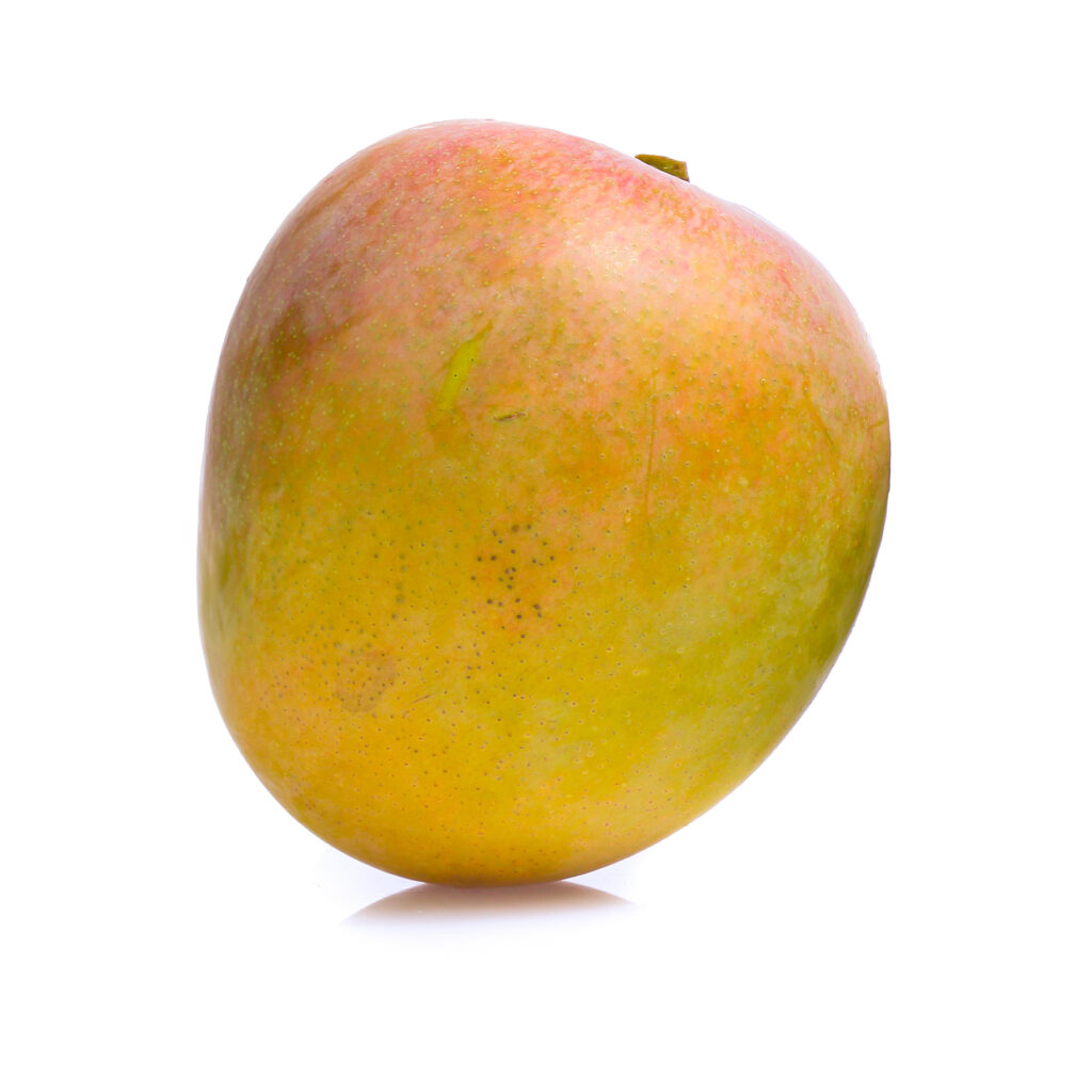 Harvest Moon Mango – South Eden Nursery