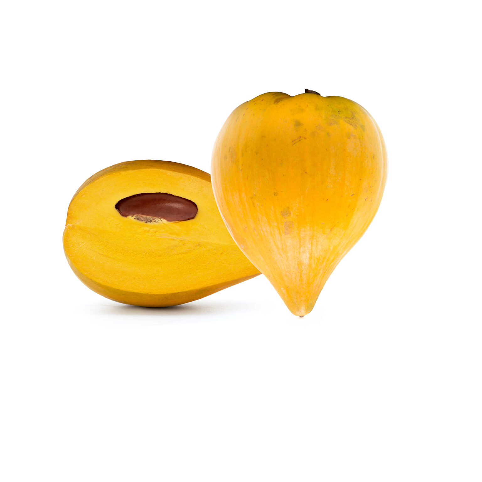 Trompo Canistel | (Lucuma campechiana) – South Eden Nursery