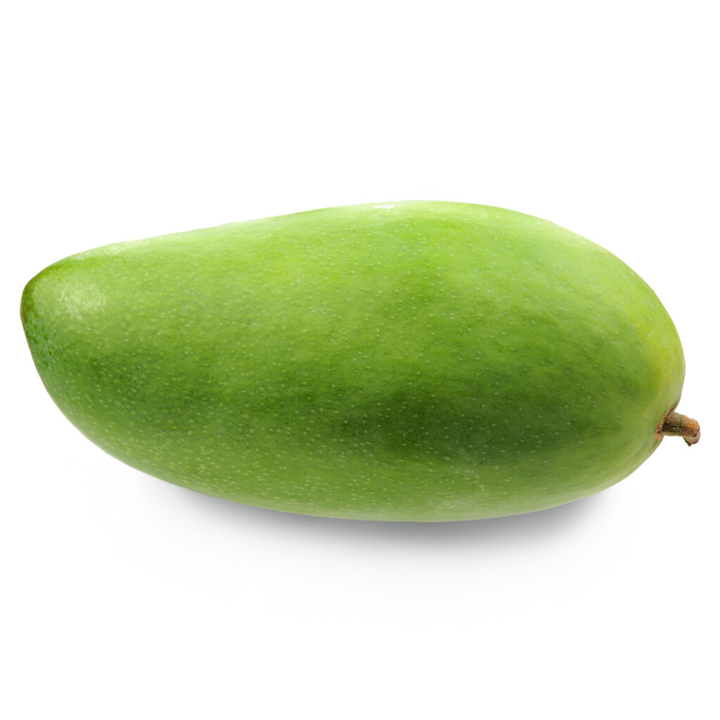 Xoài Tượng Mango – South Eden Nursery