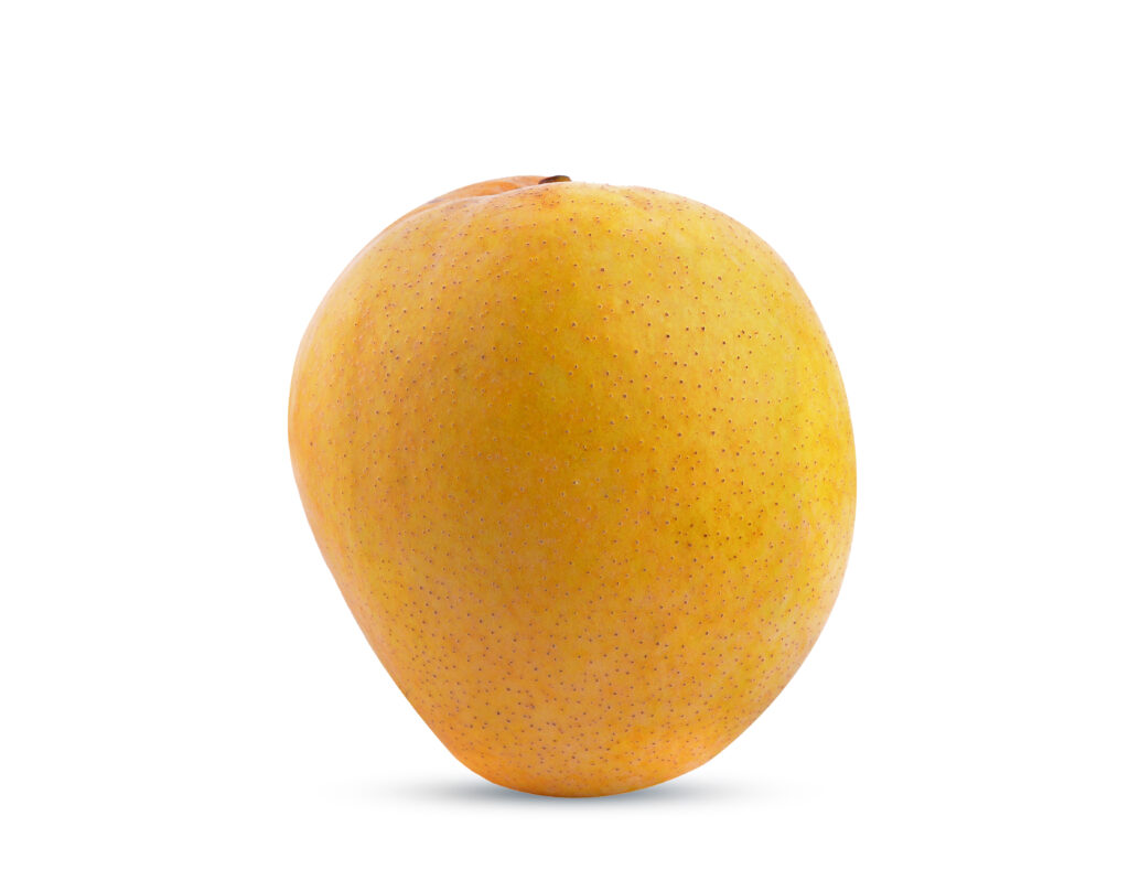 Mango Collection – South Eden Nursery