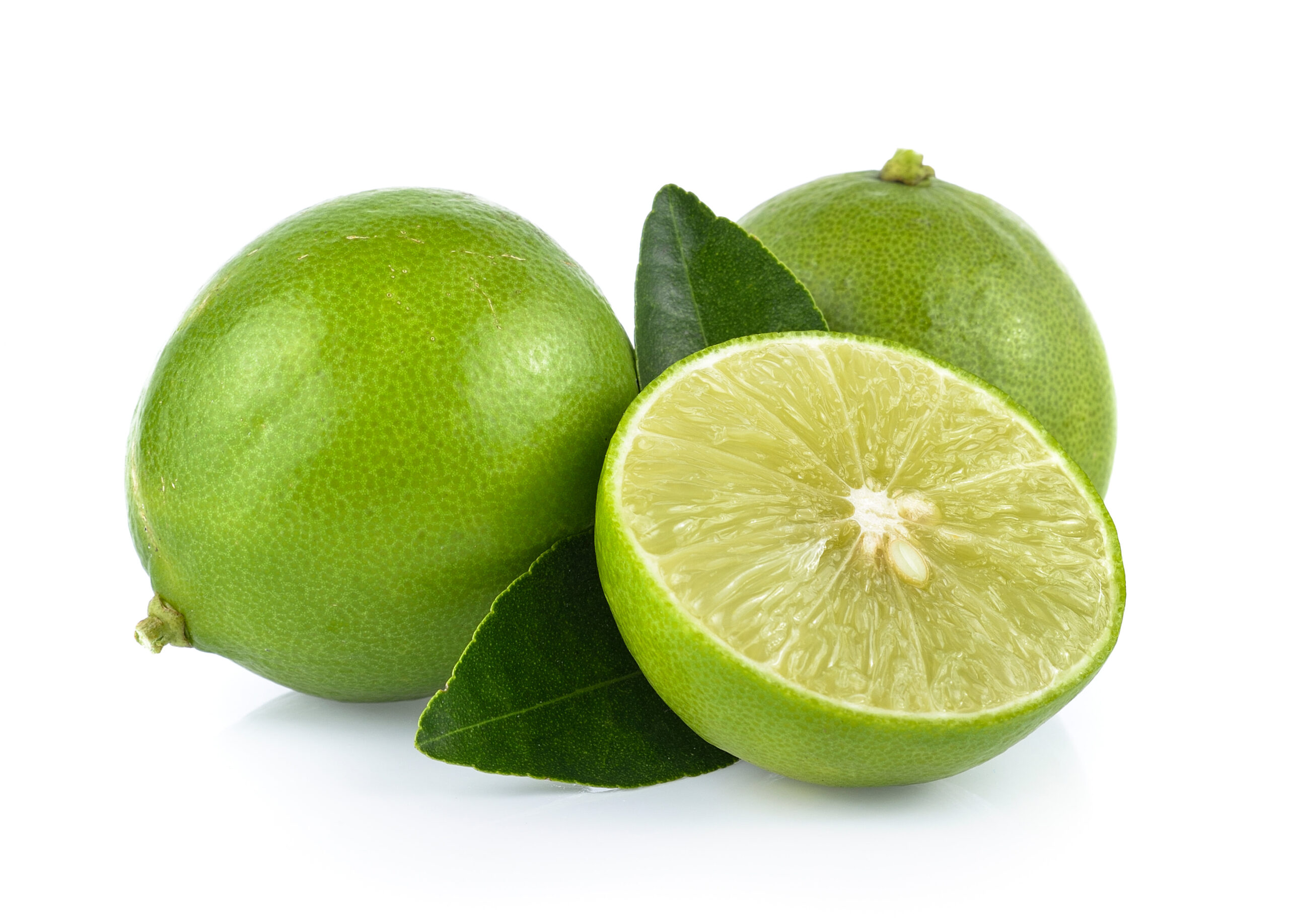 Thornless Key Lime – South Eden Nursery