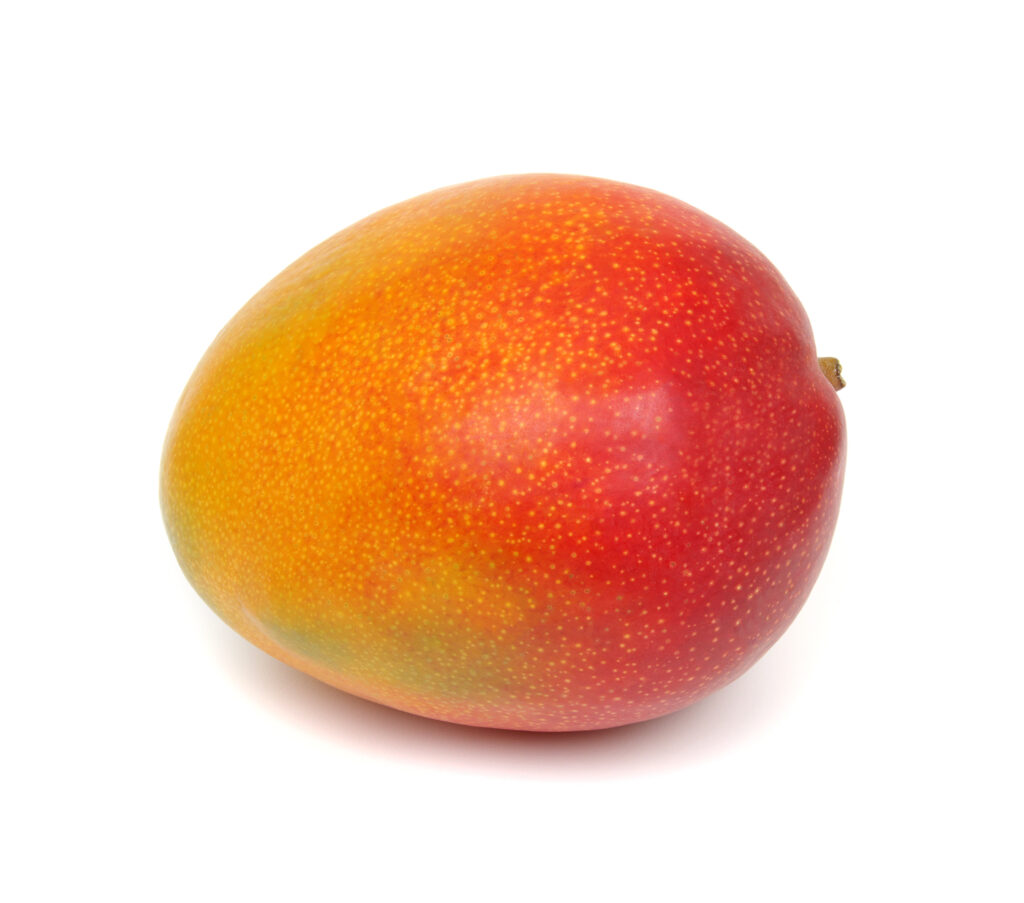 Sunrise Mango – South Eden Nursery