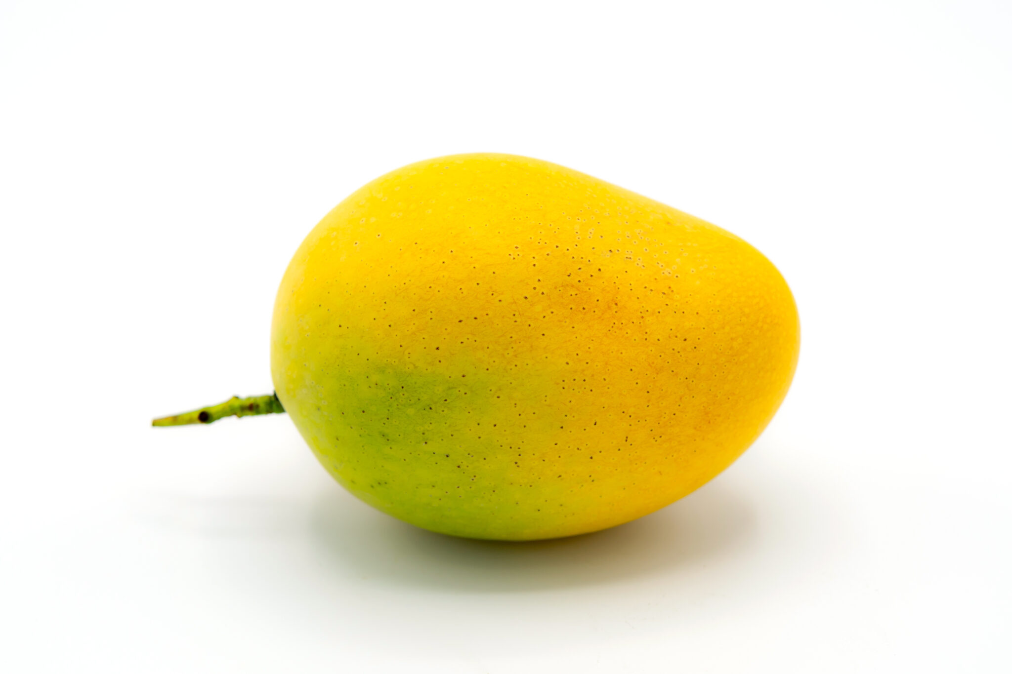 Mango Collection – South Eden Nursery