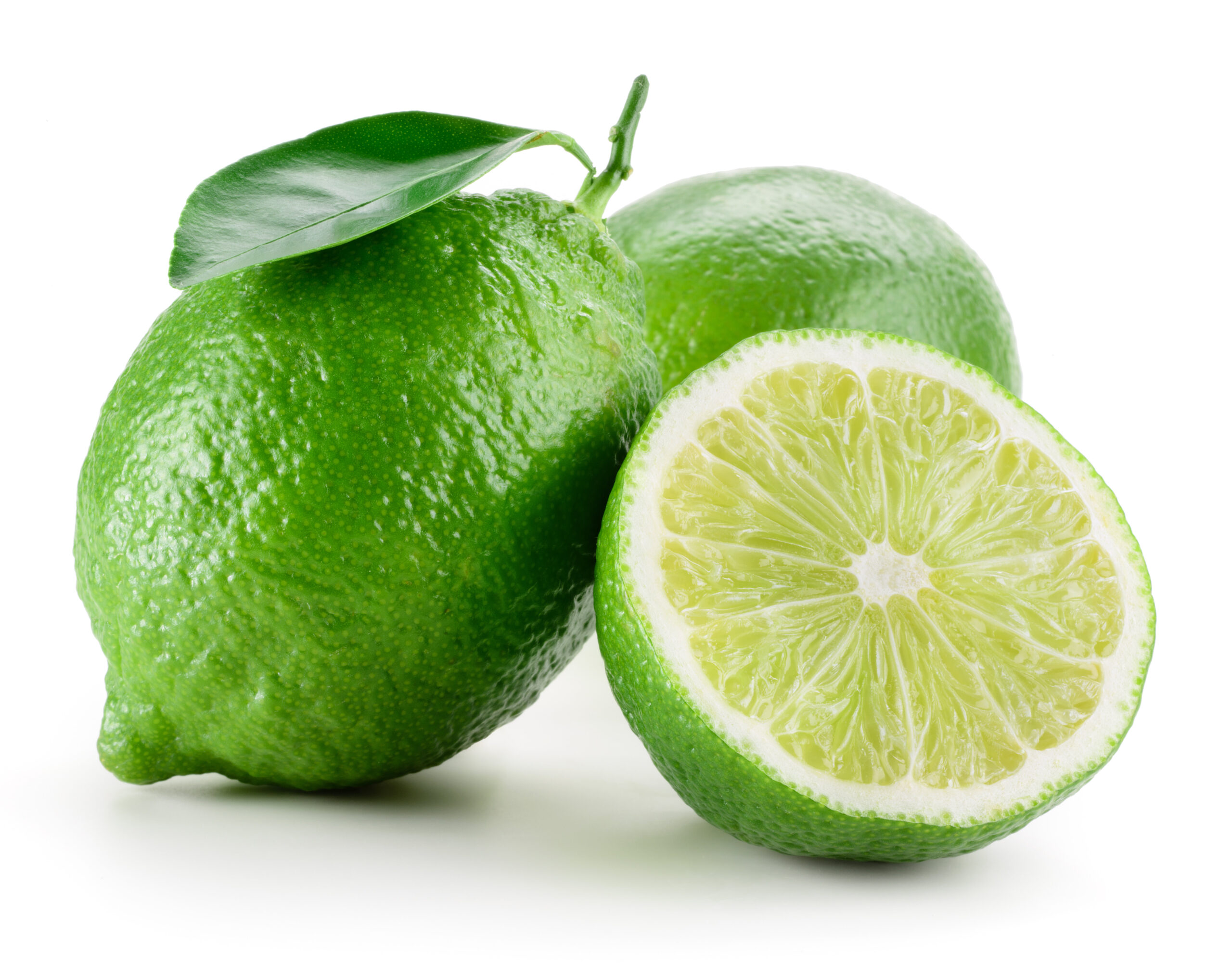 Persian Lime – South Eden Nursery