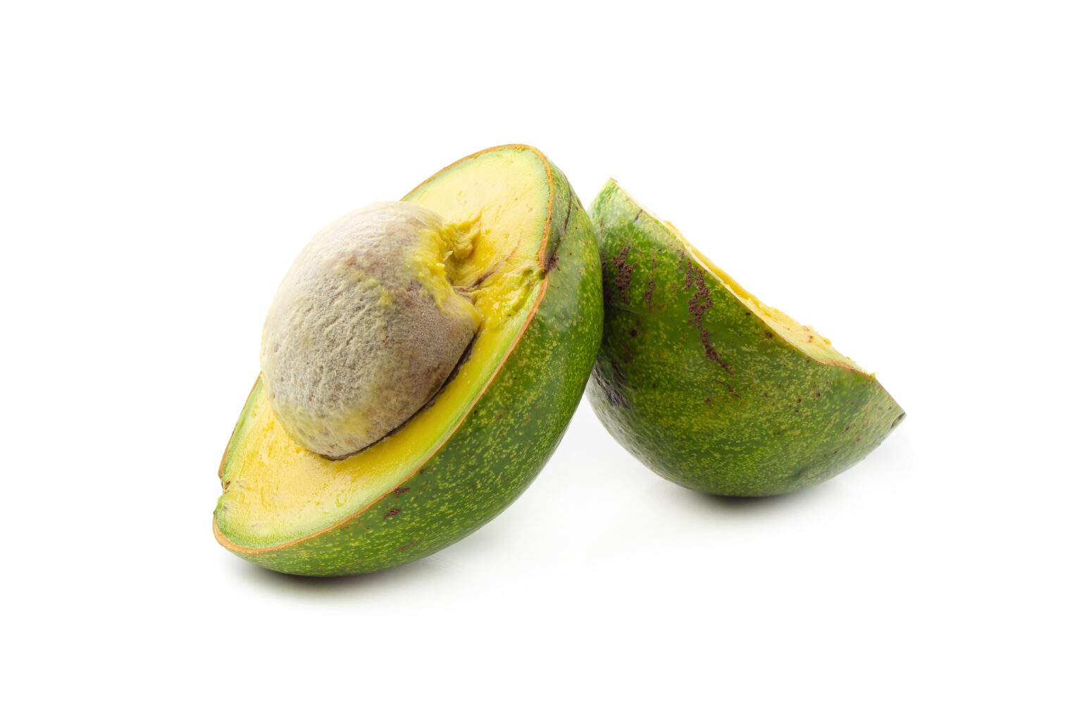 Marcus Pumpkin Avocado – South Eden Nursery